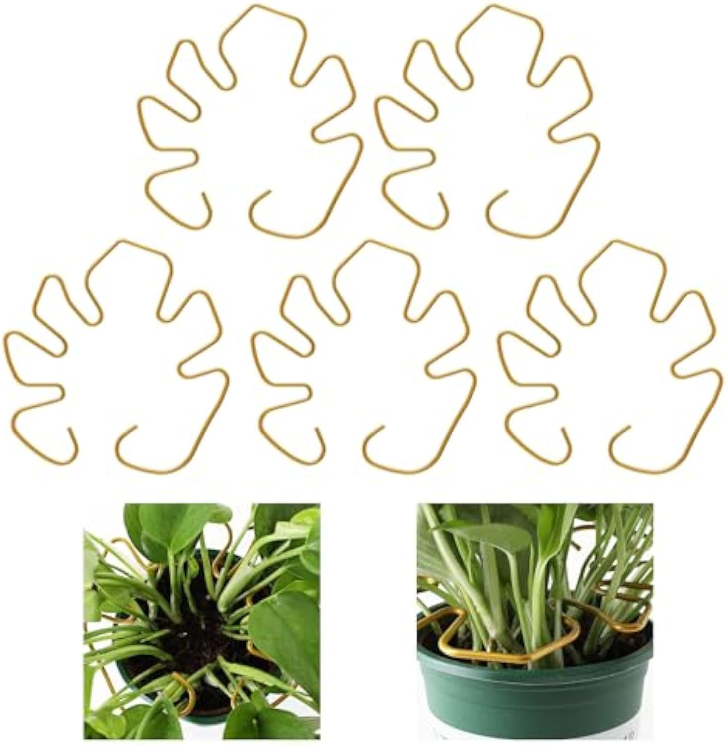 5PCS Plant Stem Support - Monstera Stabilizer Grapple Holder, Turtle ...