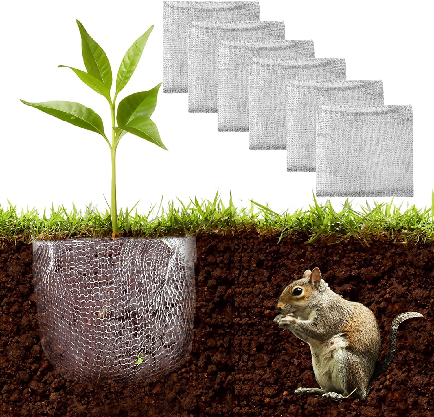 5PCS Root Guard Baskets Stainless Steel Plant Wire Speed Baskets Animal ...