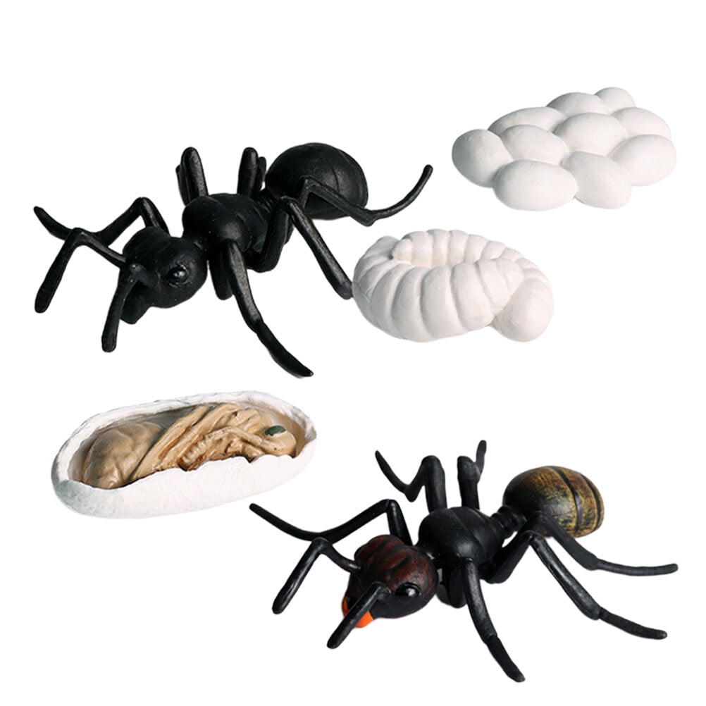 5PCS Simulation Ant Model Set Artificial Animal Figurine Kids Plastic ...