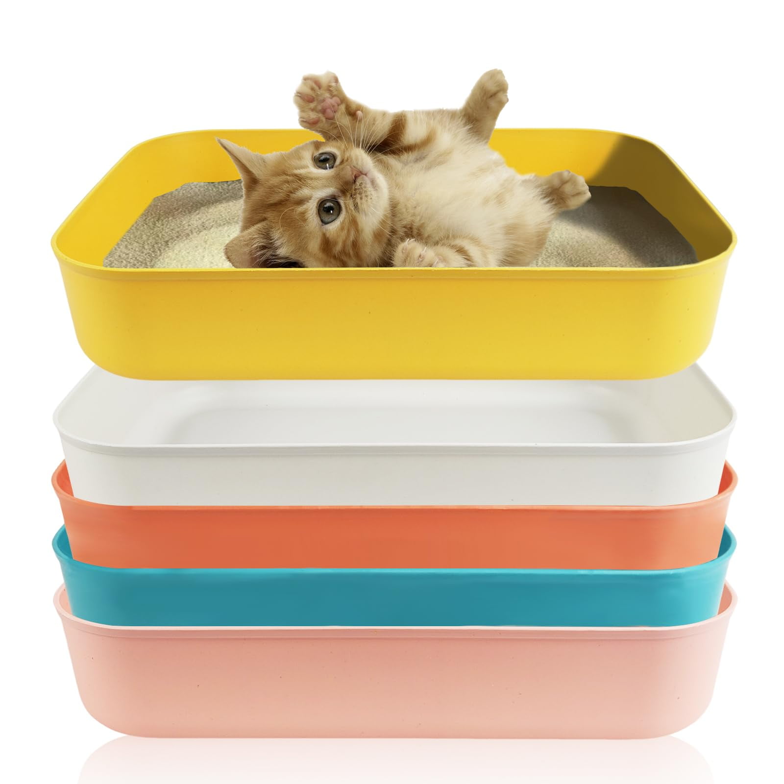 5PCS Small Litter Box, Plastic Kitten Litter Box, 13.9 x 9.8 x 3 Inch ...