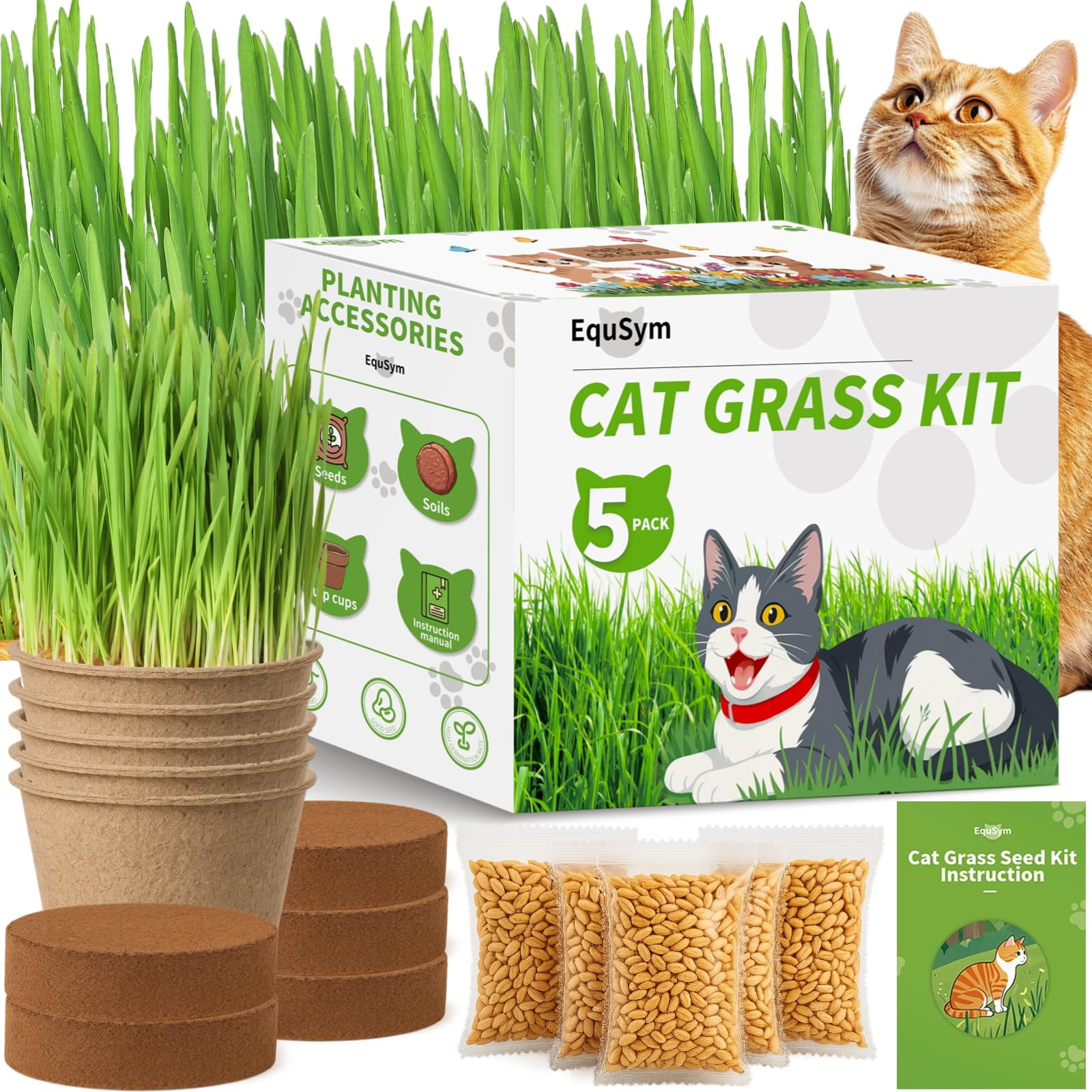 5Pack Cat GrassITSC Seeds Kit - Cat Grass Seeds Growing Set for Indoor Cats, Non GMO Wheat Seed ...