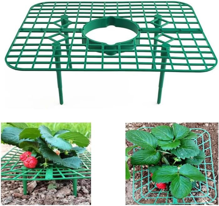 5Pack Strawberry Plant Support, Strawberry Planting Stand, Keeping ...