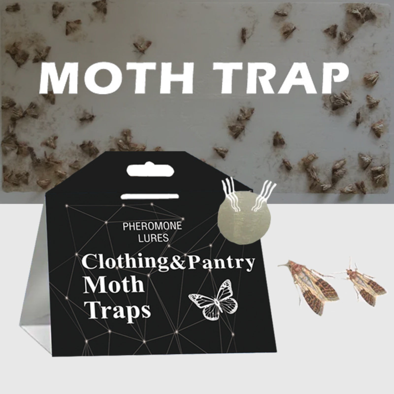 5Pc Non-Toxic Moth Traps For Clothes & Pantry - Pheromone Lures ...