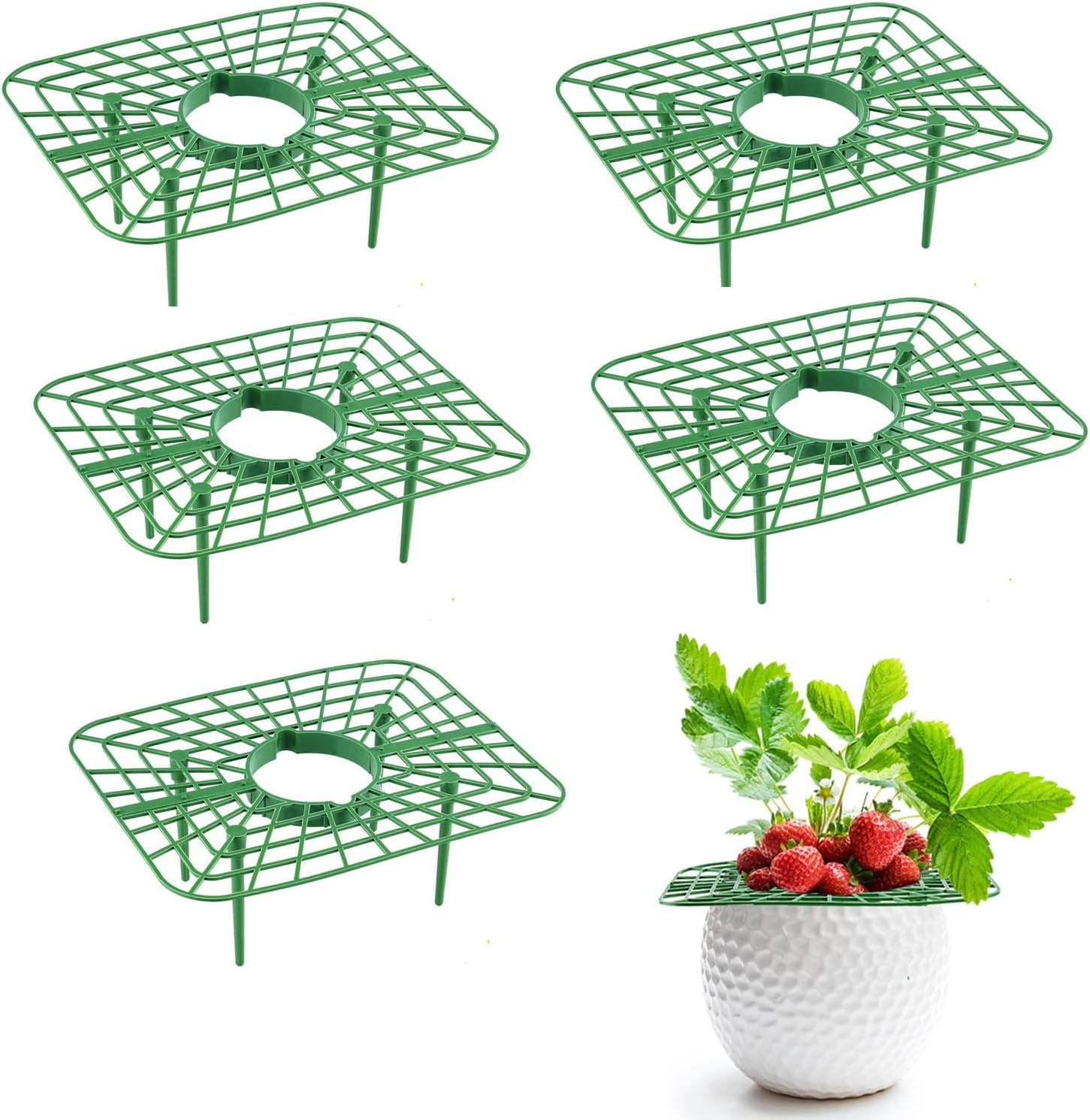 5Pcs/10Pcs Strawberry Supports with 4 Sturdy Legs, Strawberry Growing ...