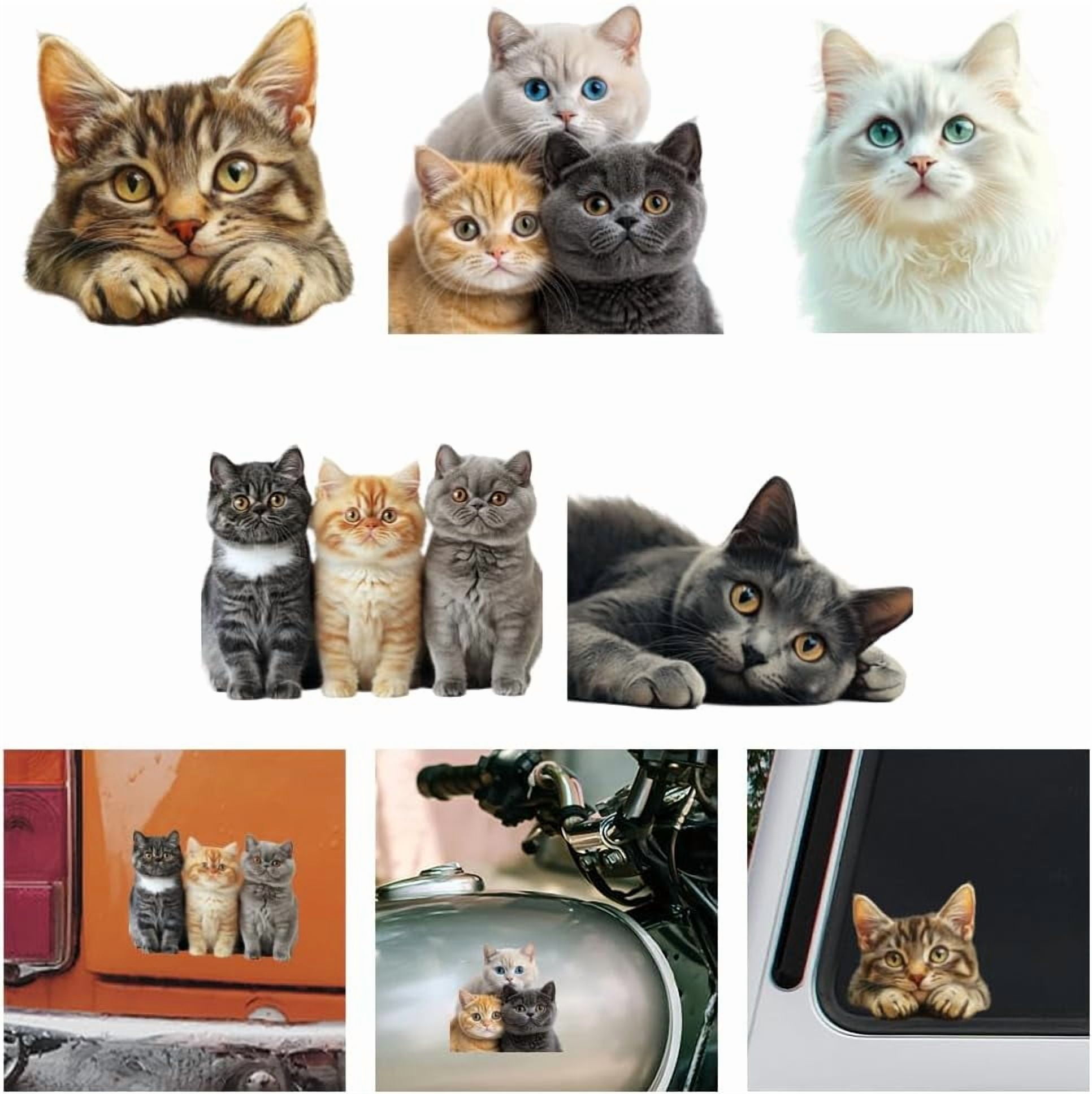 5Pcs 3D Cat Vinyl Car Sticker Cute Animal Car Decals for Vehicle Decor ...