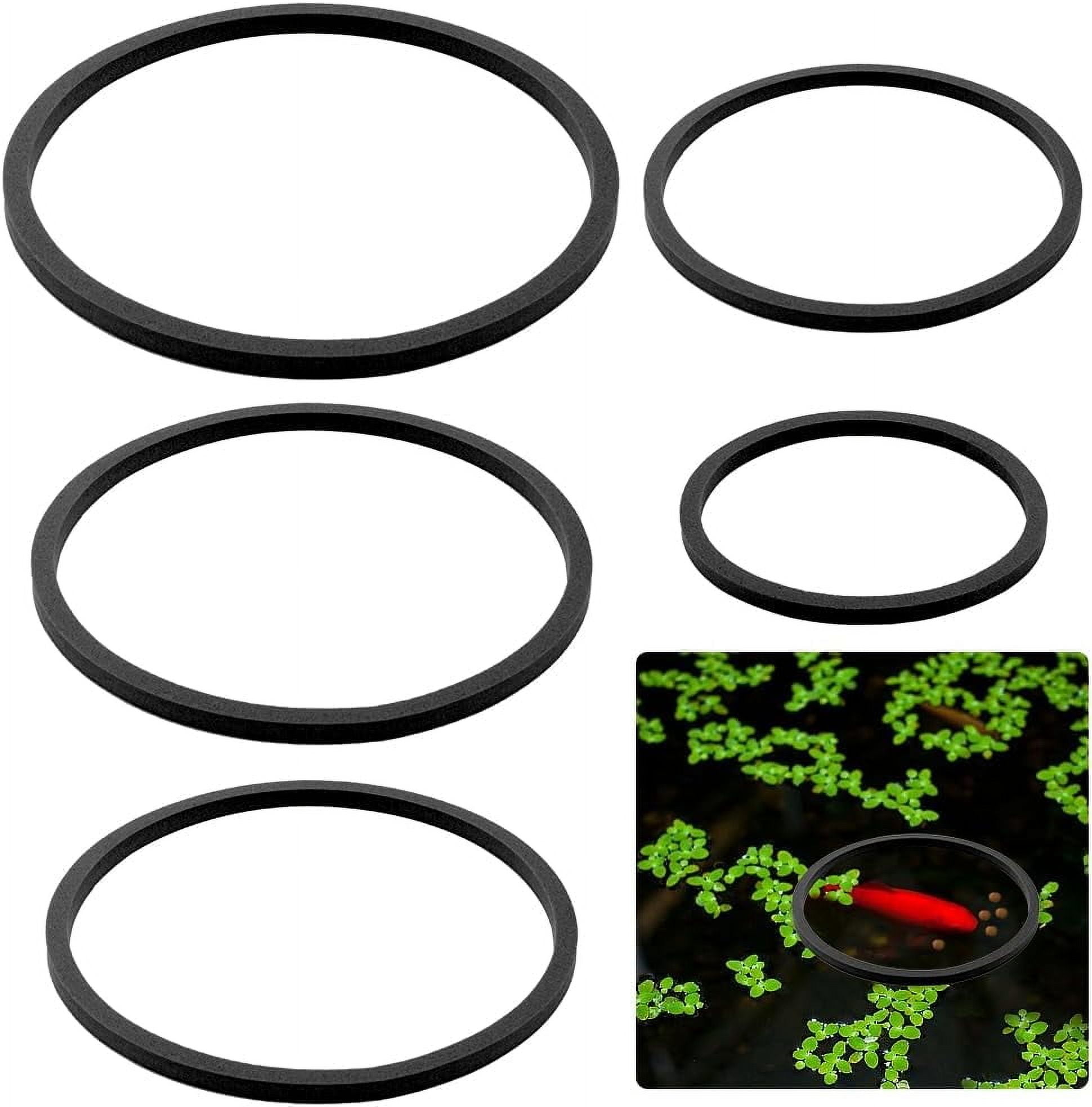 5Pcs Aquarium Floating Plant Rings Fish Feeding Rings Set 5 Sizes Foam ...
