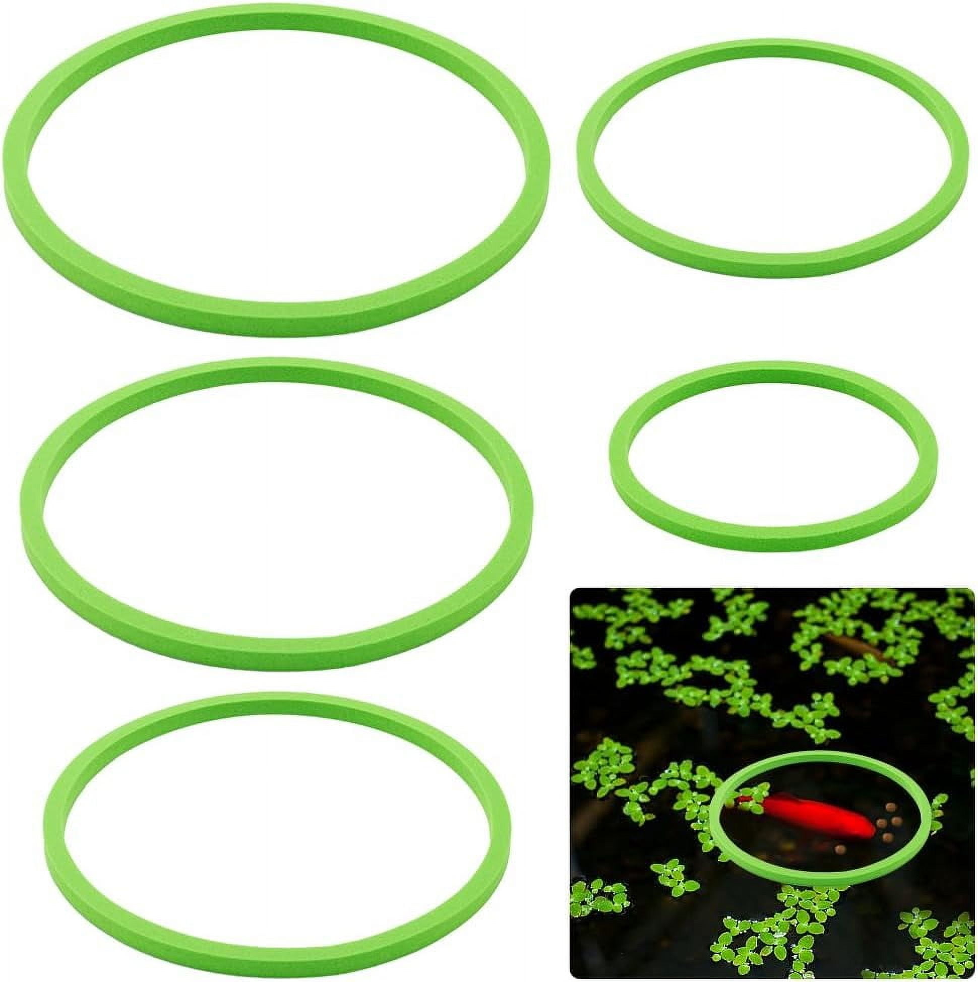 5Pcs Aquarium Floating Plant Rings Fish Feeding Rings Set 5 Sizes Foam ...