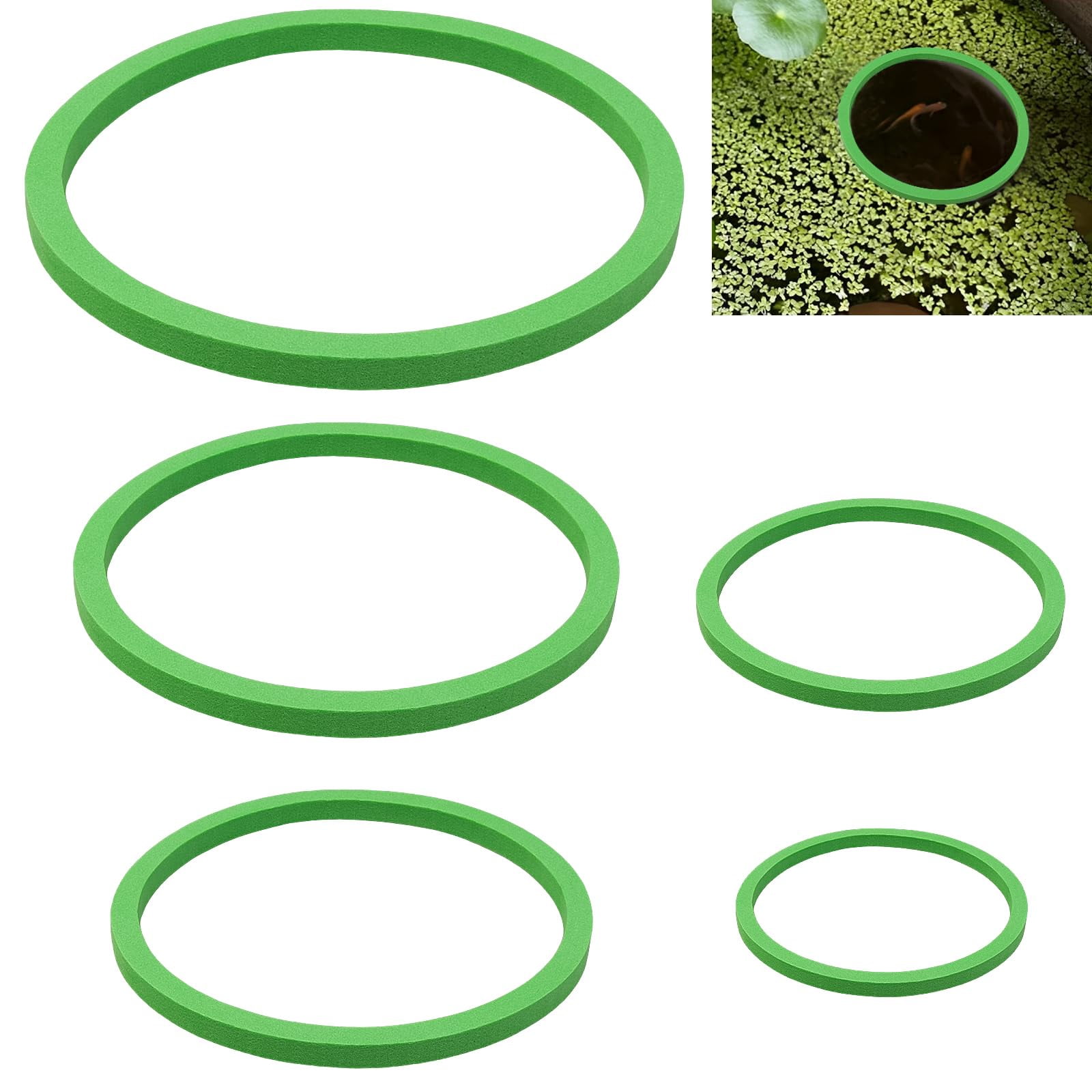 5Pcs Aquarium Floating Plant Rings and Fish Feeding Rings,Aquarium ...
