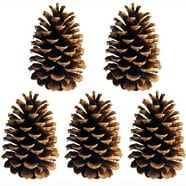 kiskick 20Pcs Mini Decorative Fake Pine Cones, Small DIY Craft for Home ...