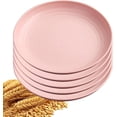 5Pcs Dinner Plates Wheats Straw Plates Set Unbreakable Reusable ...