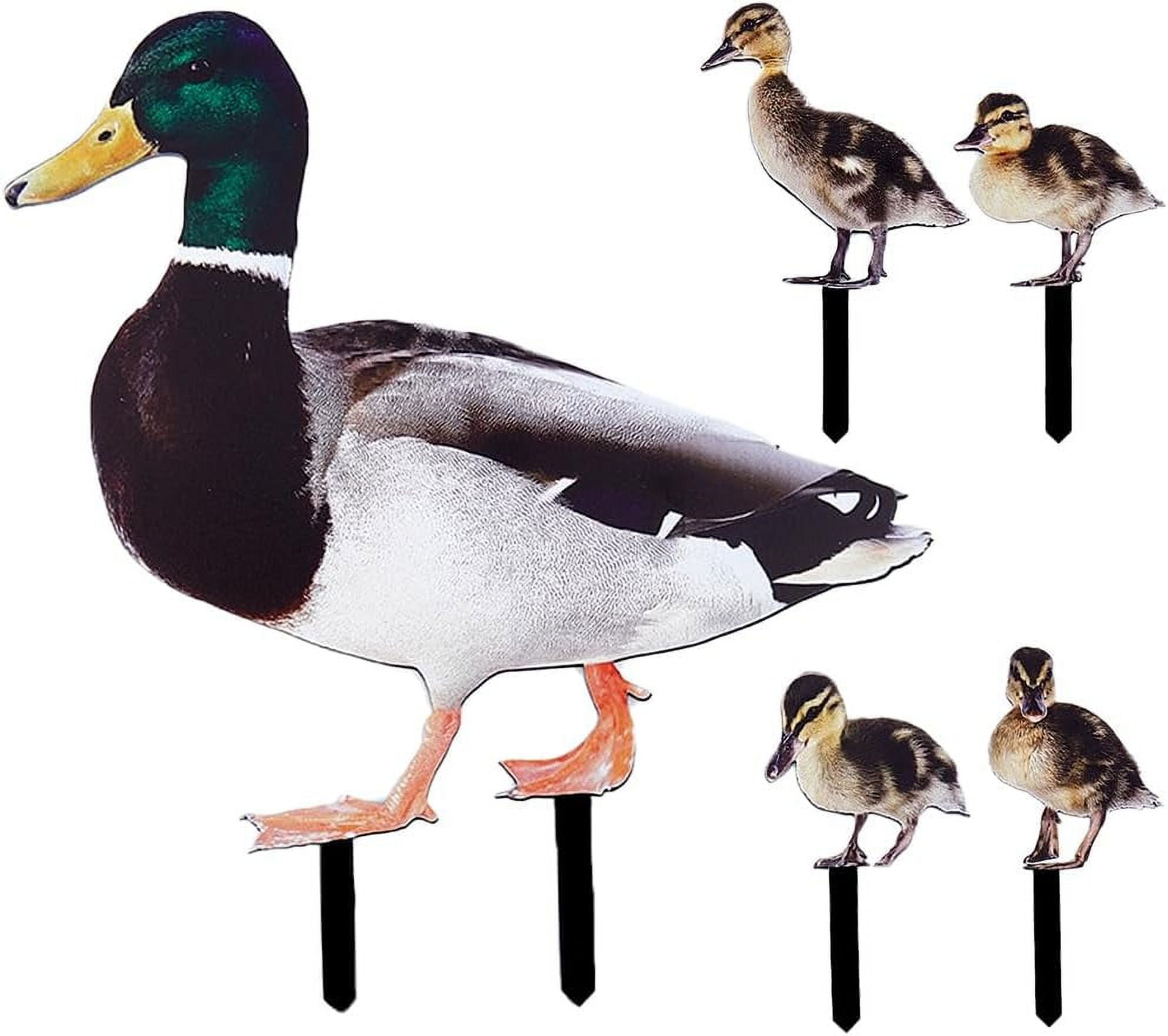 5Pcs Duck Ground Insert Decorations Acrylic Garden Stake Double Sided ...