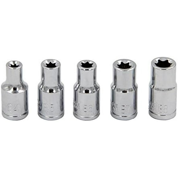 Shop Female Torx Sockets for Home Improvement and Auto Repairs