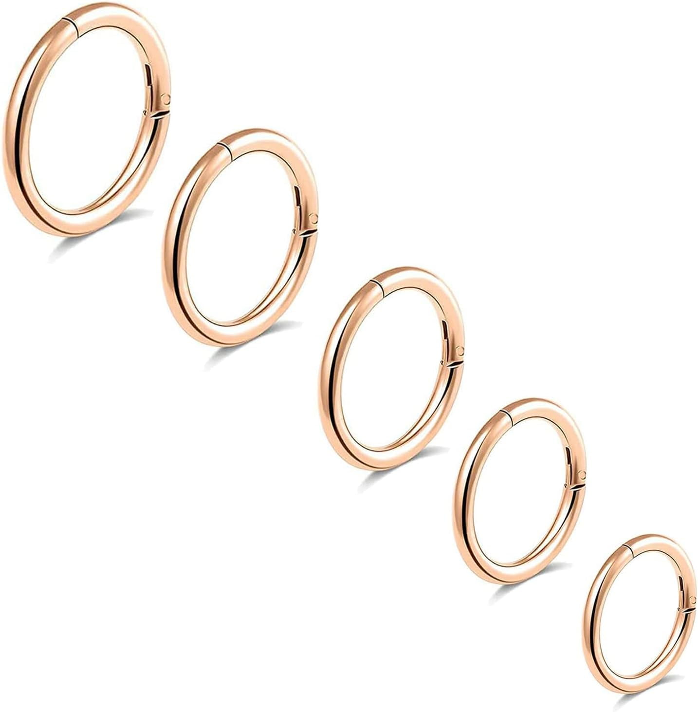 5Pcs G23 Titanium Nose Rings 16G Hinged Clicker Segment Nose Rings Hoop ...
