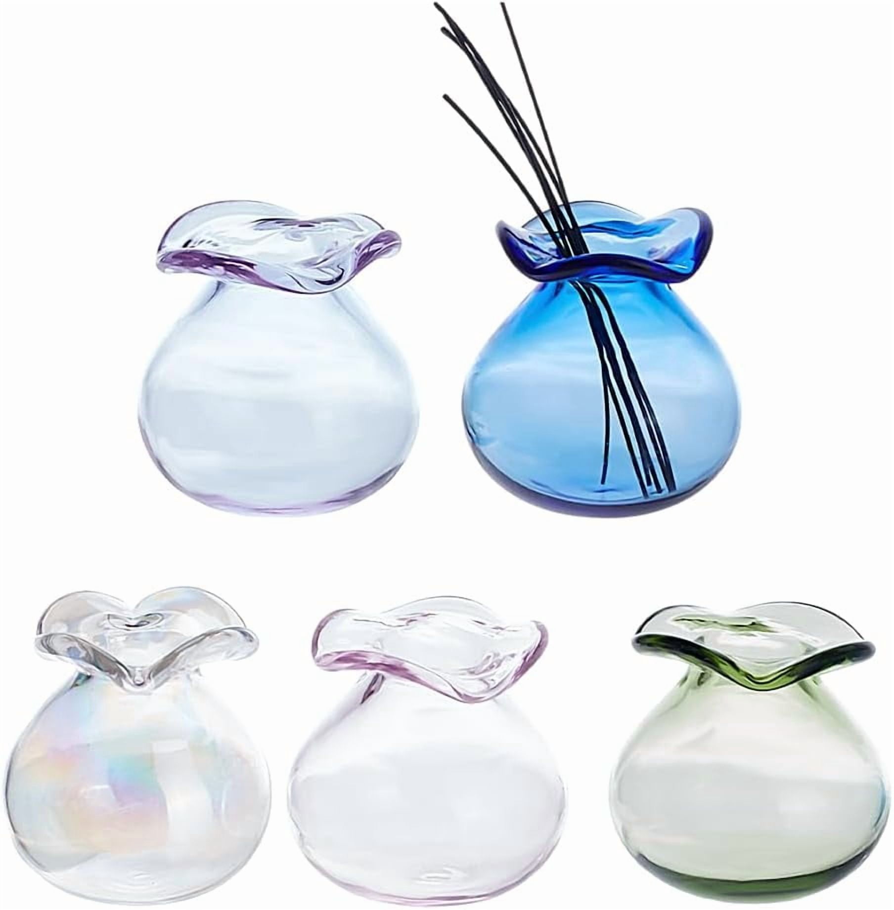 5Pcs Mini Flower Vase 0.8 Miniature Bud Vases Tiny Cat Whisker Vase for ...