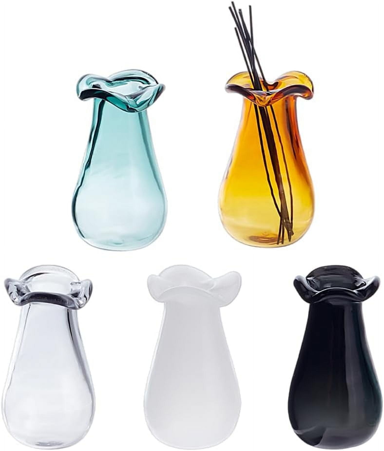 5Pcs Mini Flower Vase 1 Miniature Glass Bud Vases Cat Whisker Vase for ...