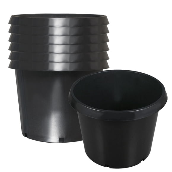 20 Gallon Pots Plants