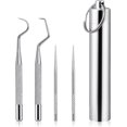 5Pcs Reusable Toothpick, Portable Metal Toothpick, Professional Teeth ...
