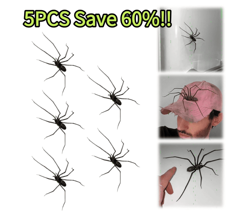 5Pcs Spider Refrigerator Sticker, Realistic Spider Magnet, Cute Spider ...