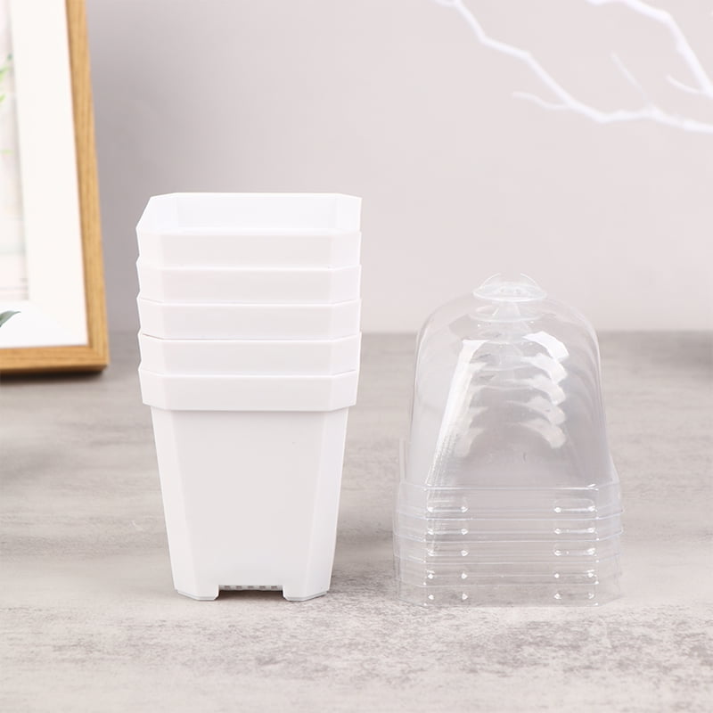 5Pcs Square Small Flower Pot Nursery Pot with Humidity Dome Transparent ...
