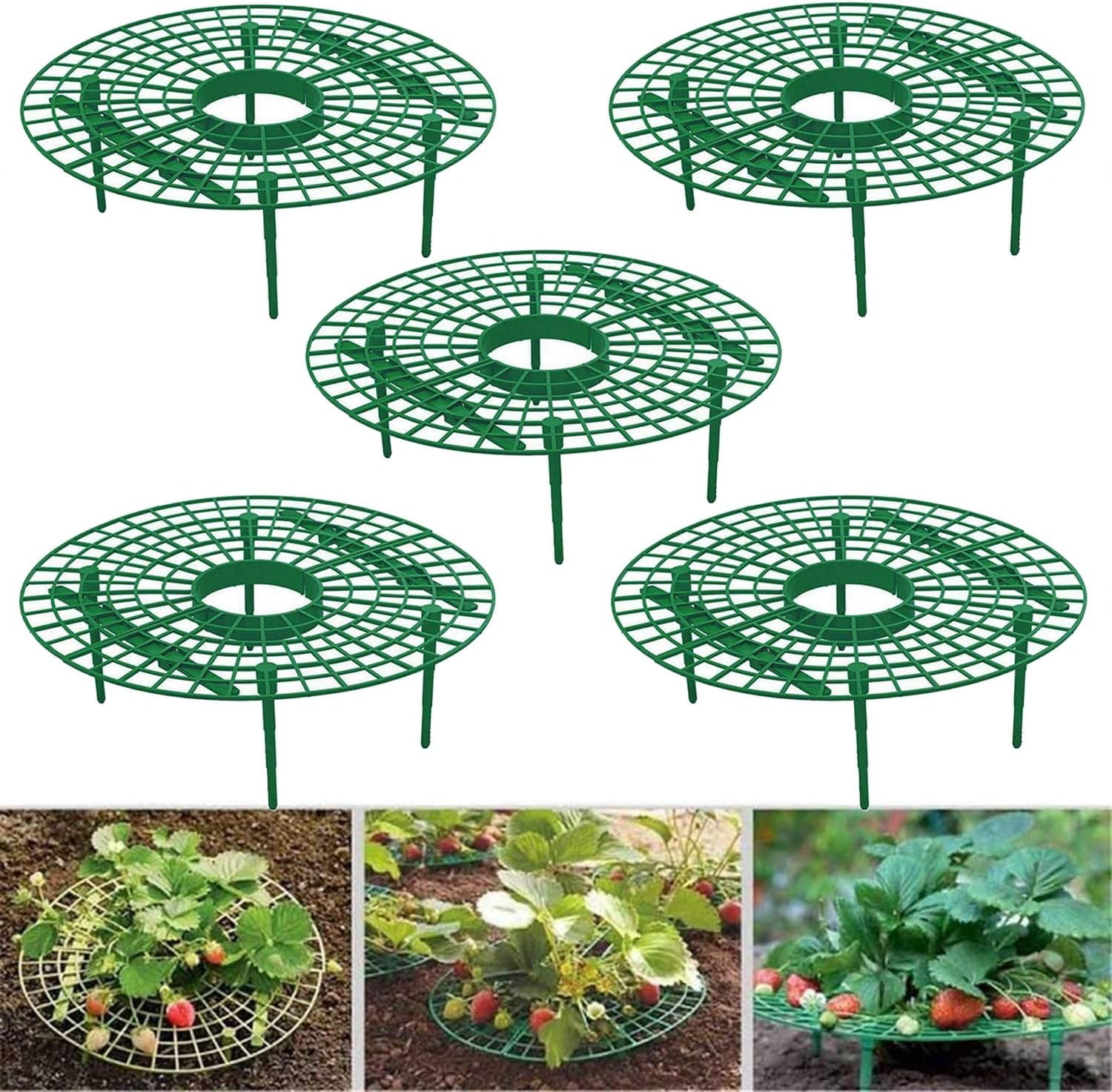 5Pcs Strawberry Plant Support - Strawberry Growing Racks with 4 Sturdy ...
