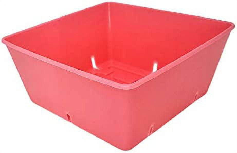 5X5 Seed Tray - 80 Pack - Extra Strength 5 X 5 Inserts Grow Microgreens ...