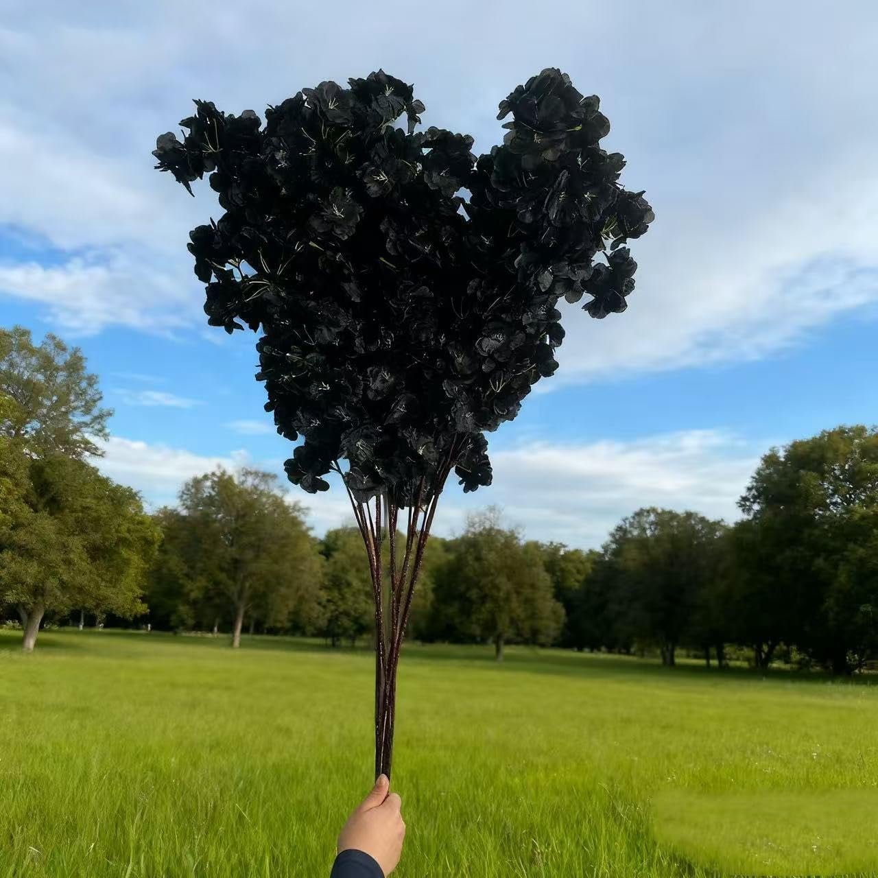 5er-Set Realistic Seized Cherry Blossom Branches (95cm) for Spring ...