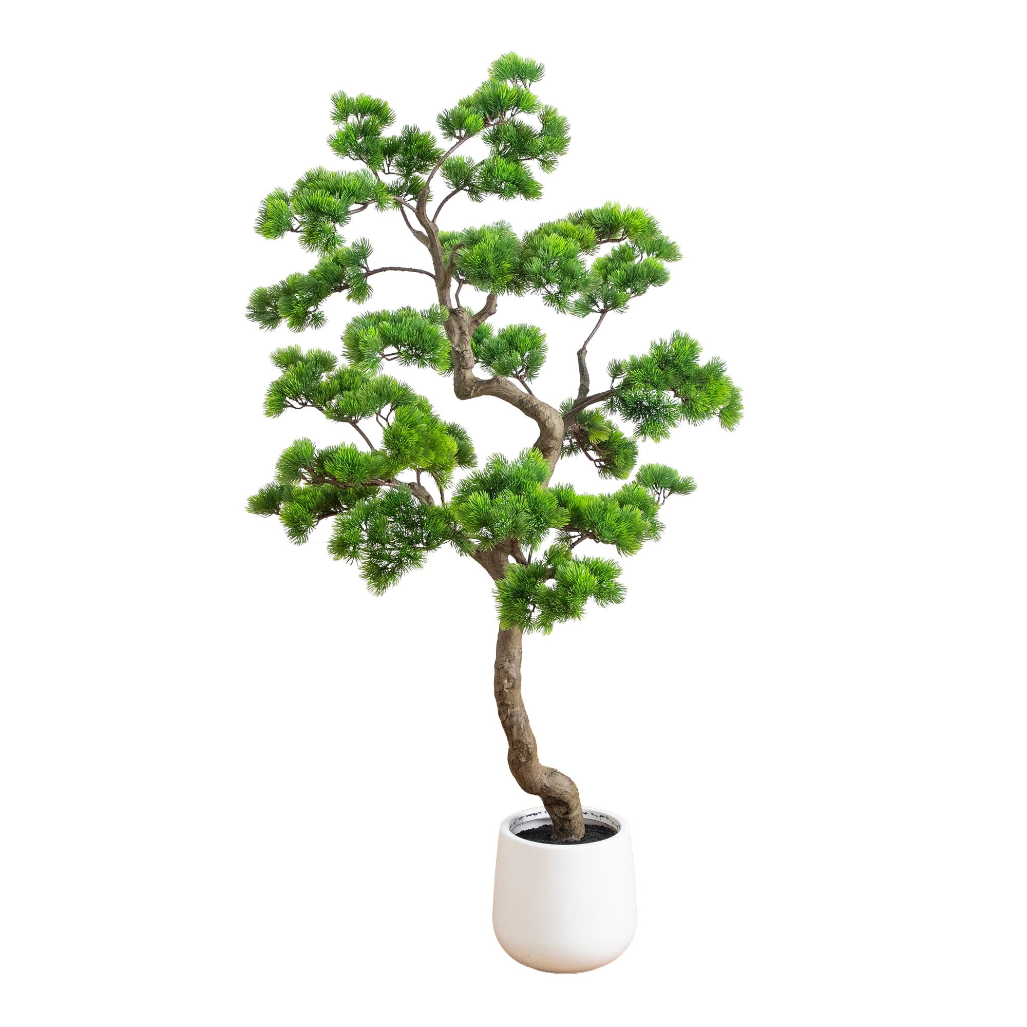 5ft. Artificial Bonsai Style Cedar Tree in Decorative White Planter ...