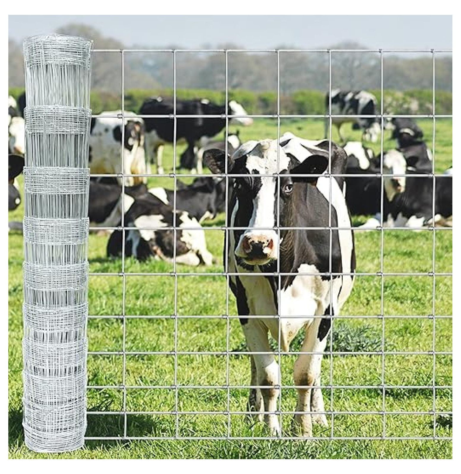 5ft x 164ft Field Fence – Heavy-Duty Galvanized Steel Livestock Fencing ...