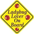 5in x 5in Ladybug Lover On Board Sticker - Walmart.com