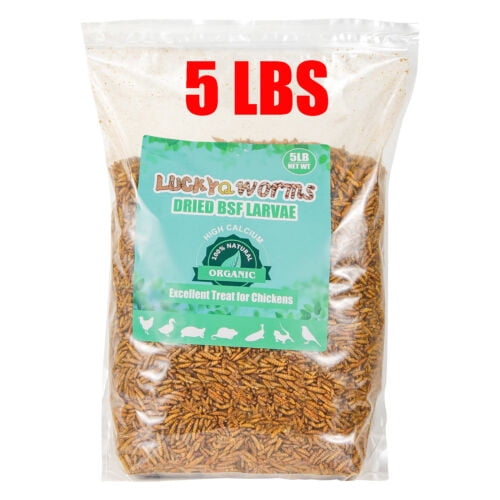 5lb Dried Black Soldier Fly Larvae BSF Chickens Treats Hen Fish Birds ...