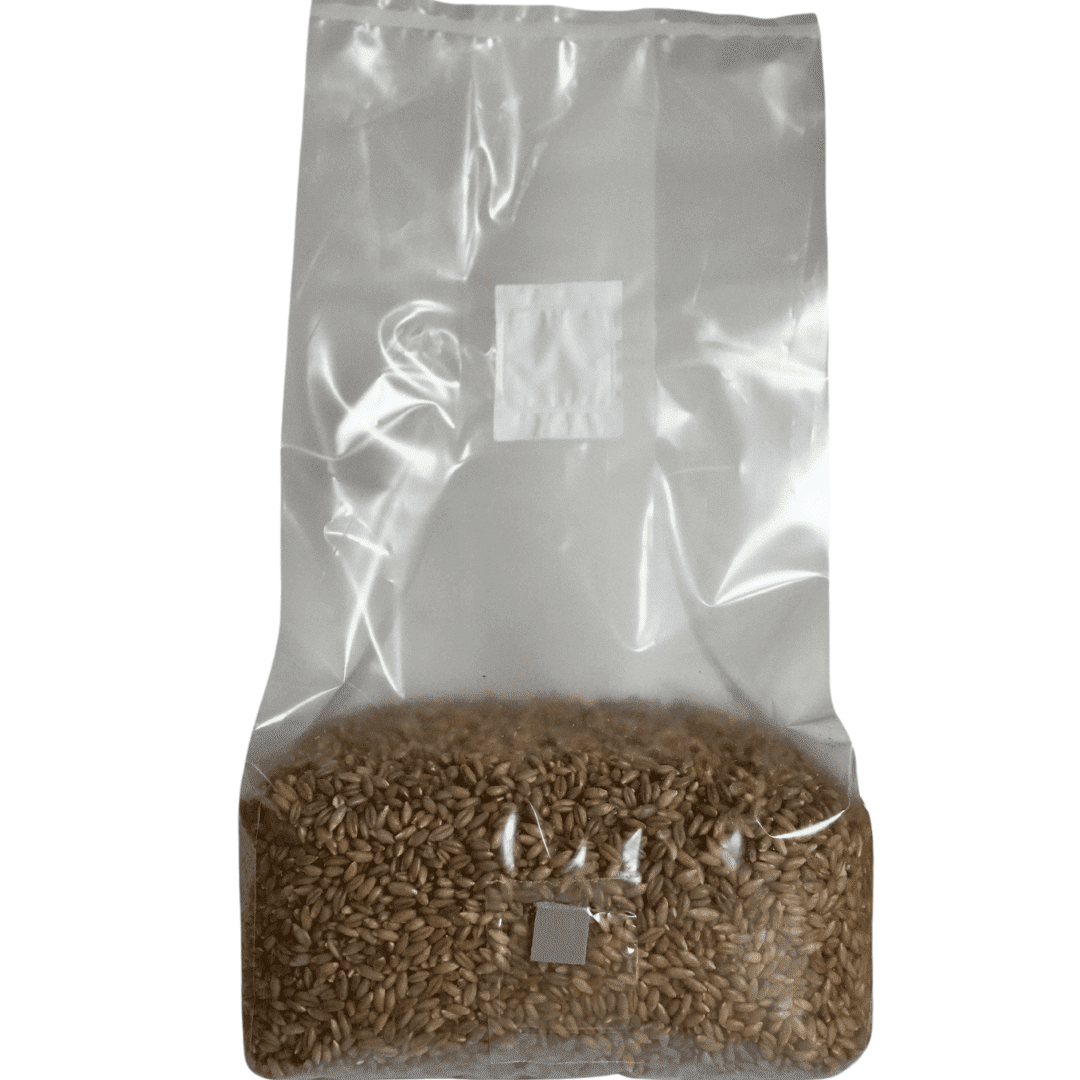 5lb Organic Sterile Mushroom Grain Spawn | Injector Port Grow Bags ...