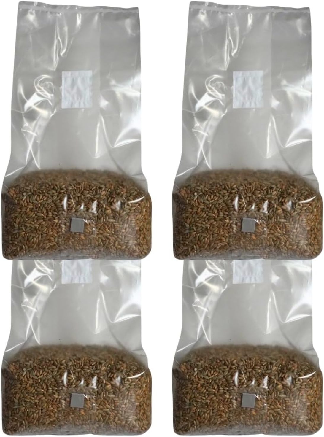 5lb Organic Sterile Mushroom Grain Spawn | Injector Port Grow Bags ...