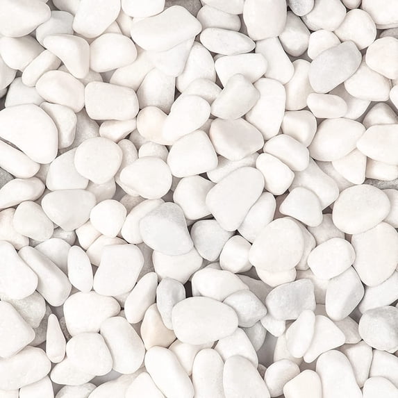 5lbs White Natural River Rocks, Polished Pebbles for Plants Garden, 0.3 ...