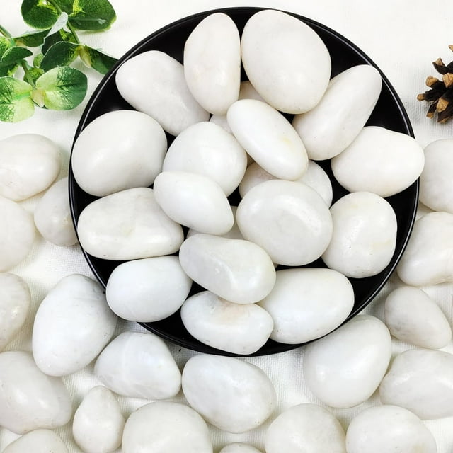 5lbs White River Rocks, 1-2 Inch Natural Pebbles for Indoor Plants ...