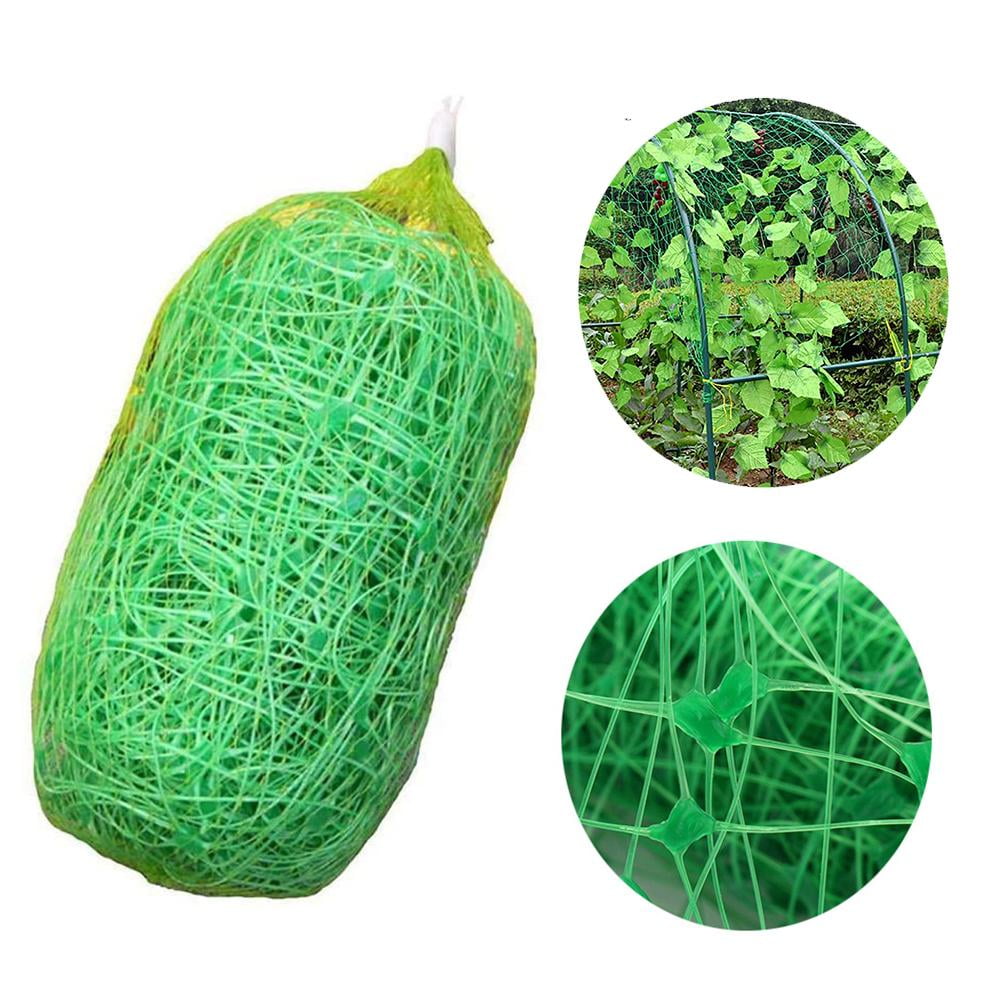 5m/10m Garden Plants Climbing Net Plant Trellis Netting Pea Netting ...