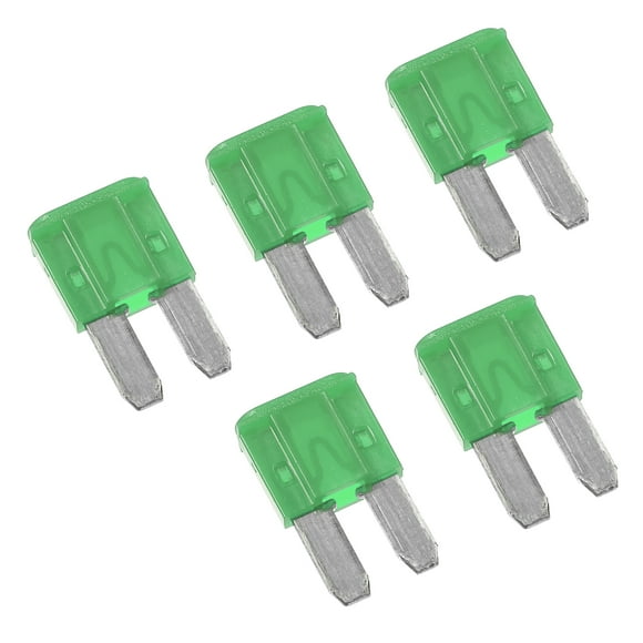 30 Amp Automotive Fuses