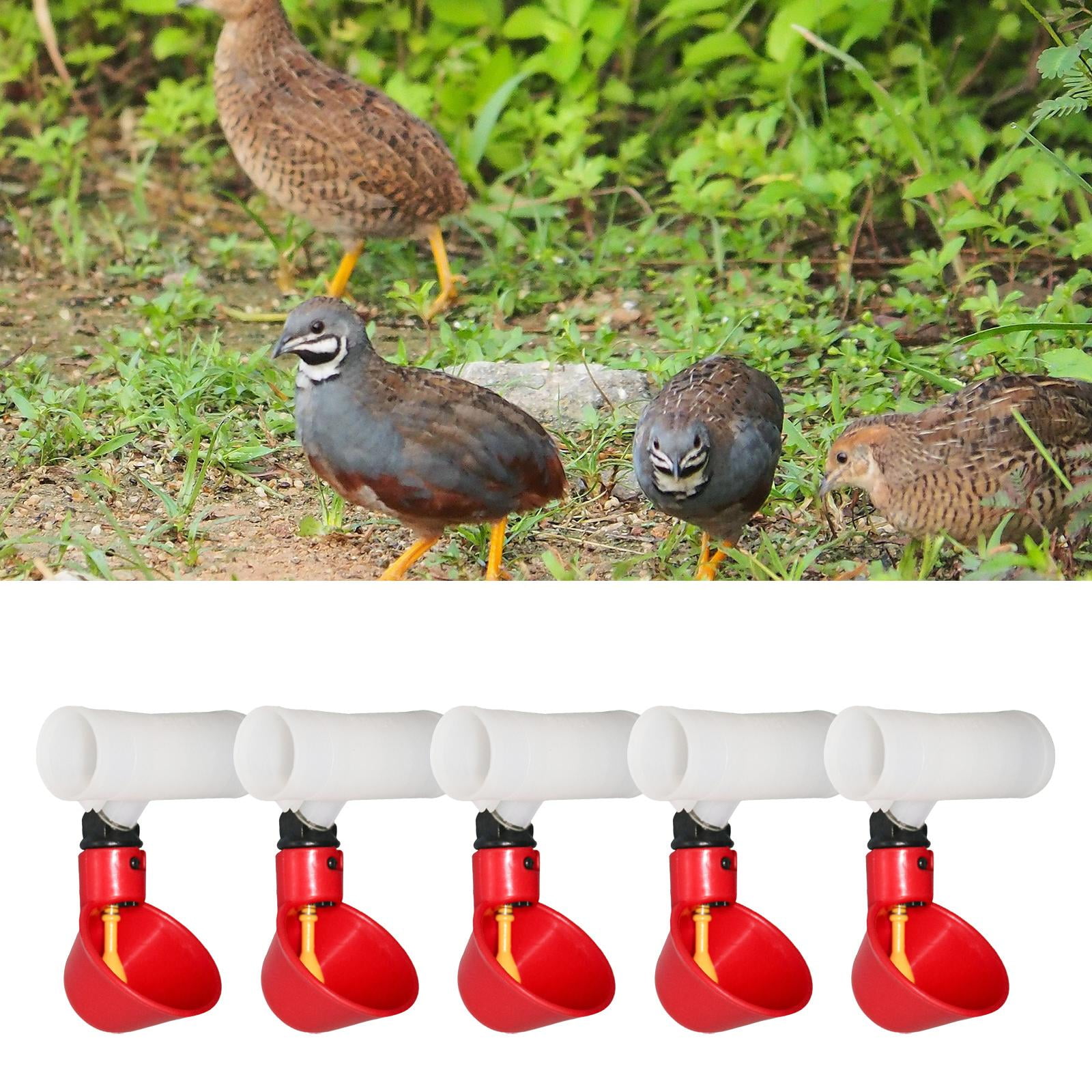 5pcs Automatic Poultry Watering Drinker Cups Waterer Chicks Chicken Hen ...