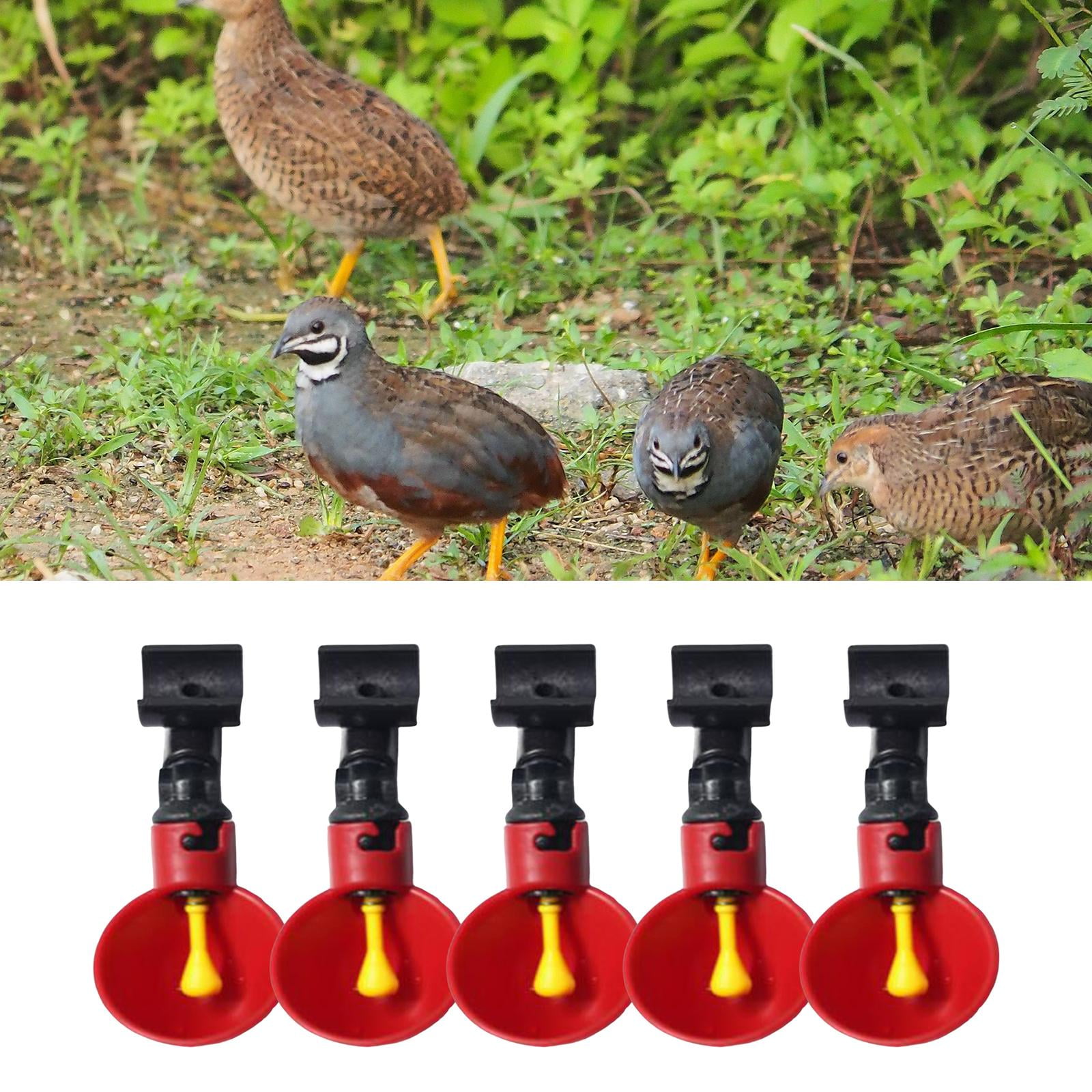 5pcs Automatic Poultry Watering Drinker Cups Waterer Chicks Chicken Hen ...