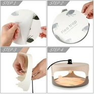 BUGMD Termination Station - Pest Trap for Ants, Cockroaches, Ticks ...