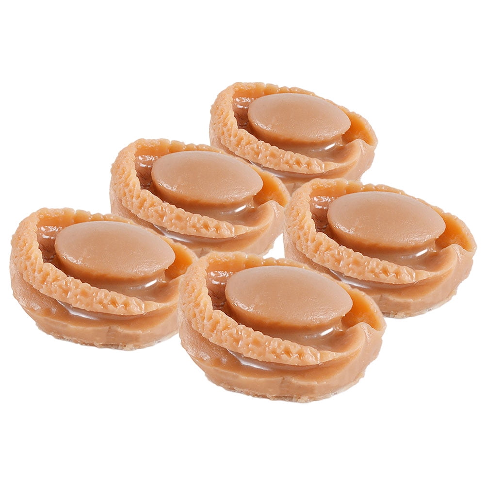 5pcs Miniature Abalone Food Models Food Pretend Toys Miniature Doll ...