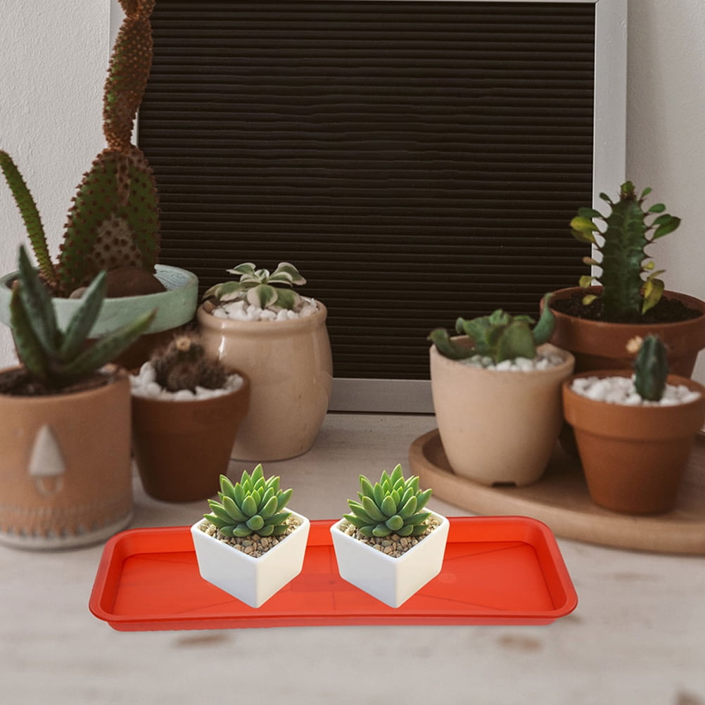 5pcs Plant Tray Planter Water Tray Shallow Rectangular Drip Tray ...