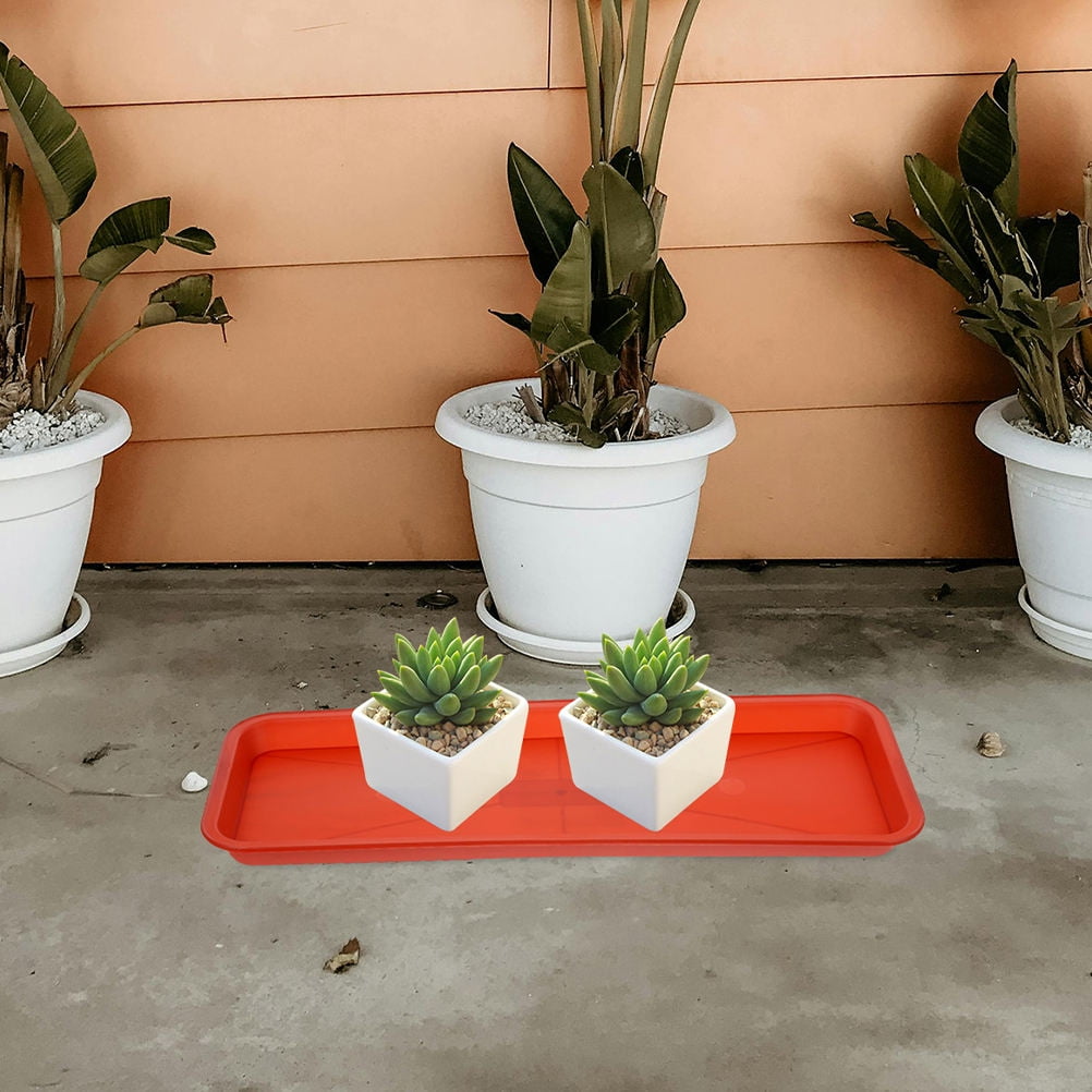 5pcs Plant Tray Planter Tray Planter Water Tray Shallow Rectangular ...