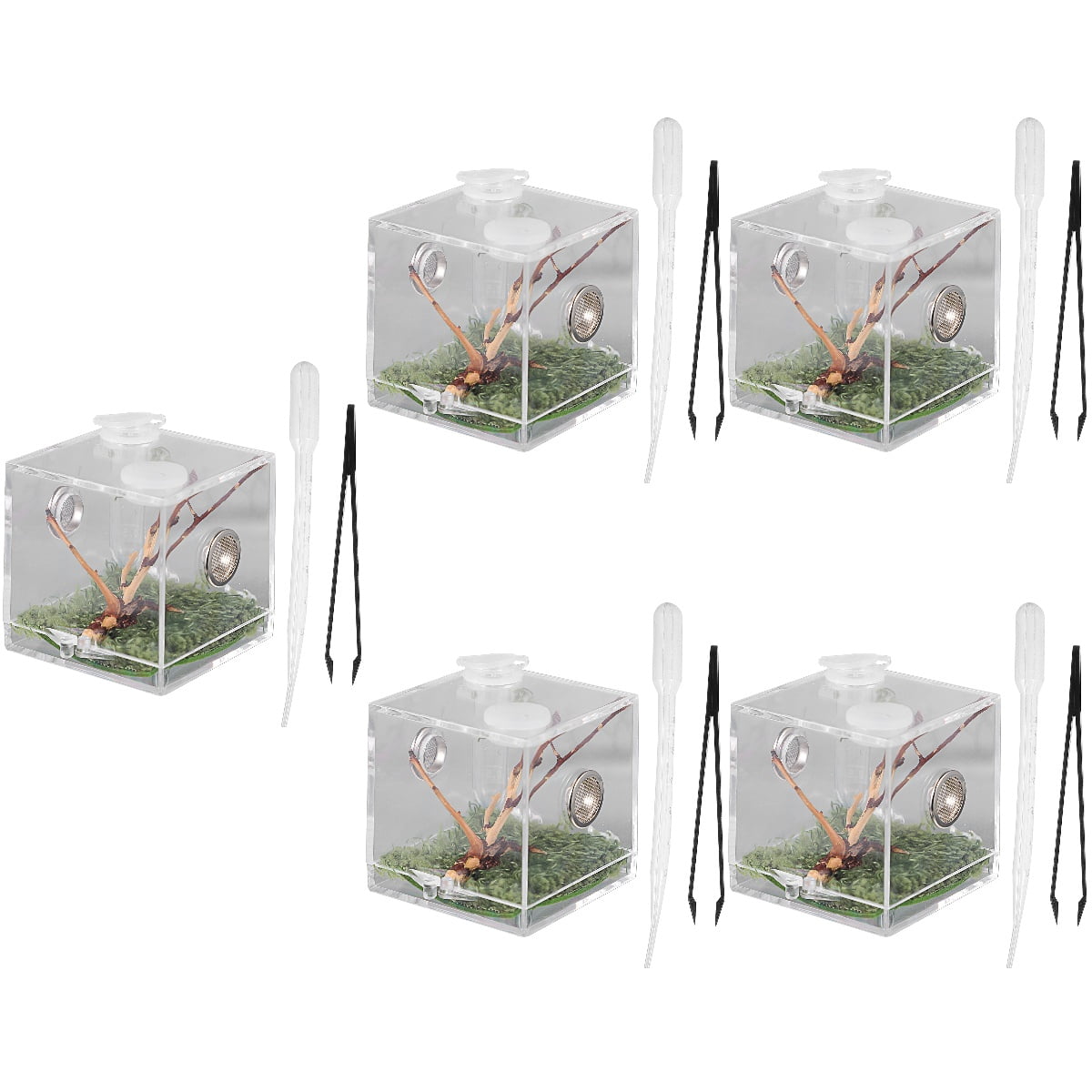 5pcs Reptile Breeding Box Terrarium Aquarium Tank Reptile Habitat ...