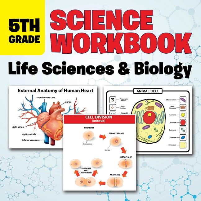 5th Grade Science Workbook: Life Sciences & Biology (Paperback ...