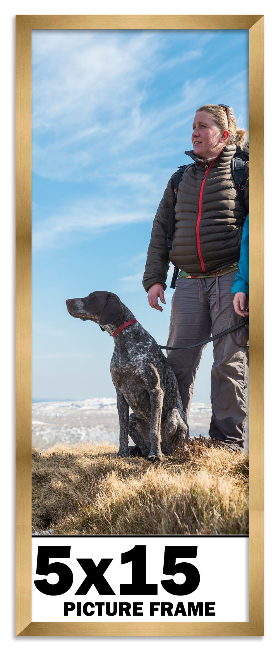 5x15 Frame Gold Bronze Modern Solid Wood Picture Frame | 0.75 Inch ...