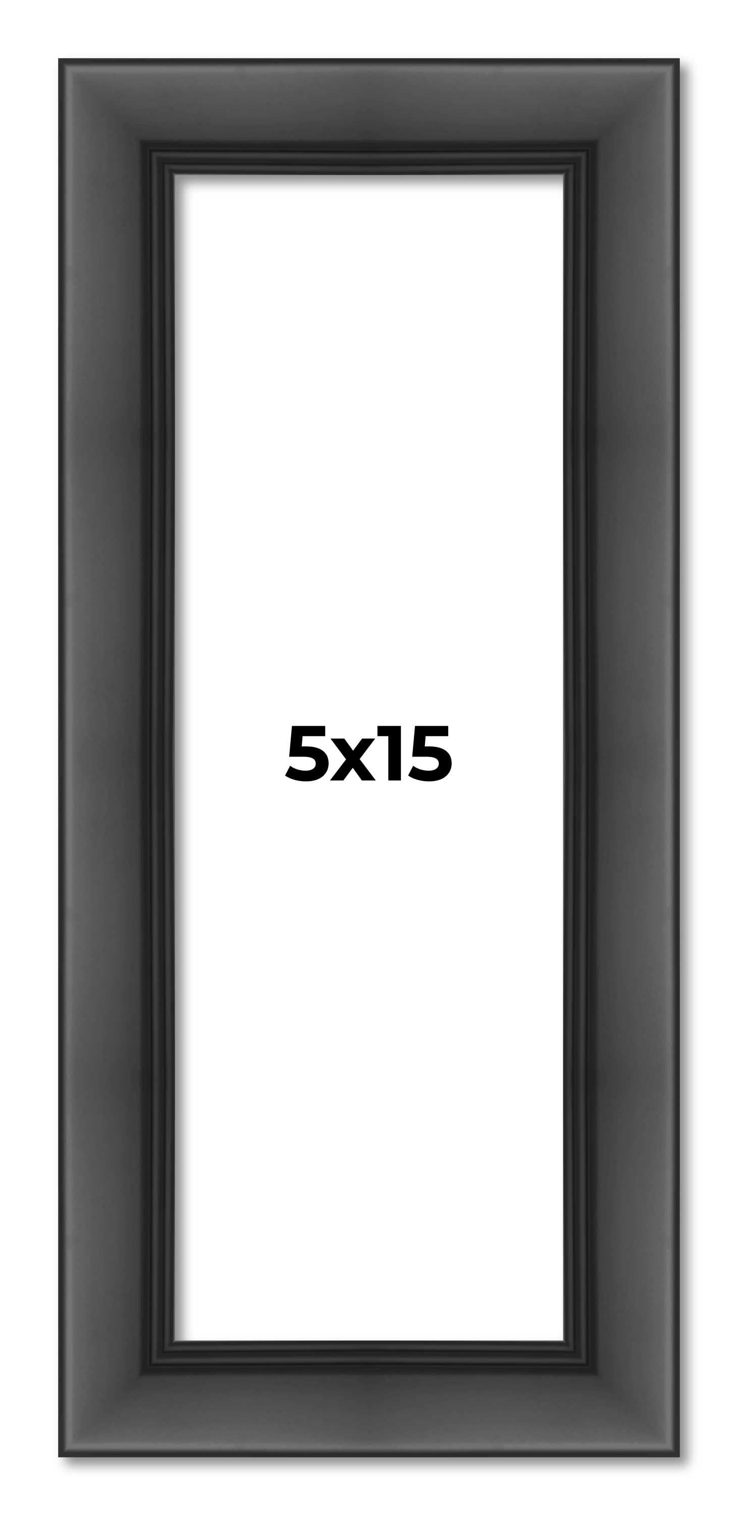5x15 In - 5 x 15 Contemporary Black Solid Wood Frame with UV Framer's ...