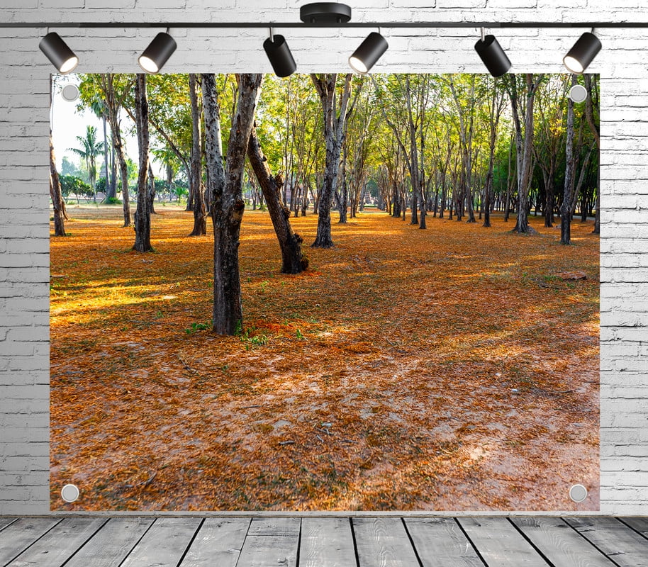 5x3ft Autumn Fallen Leaves Forest Backdrop Photoshoot Photo Backdrop ...