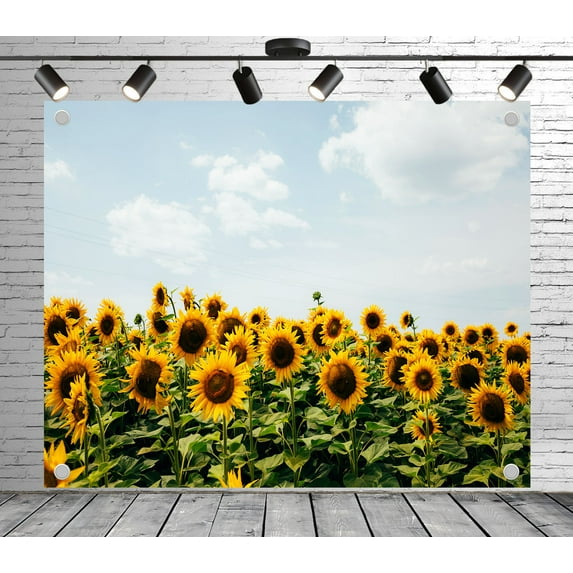 5x3ft Floral Backdrop Bright Sunflower Field Photo Backdrop Garden ...