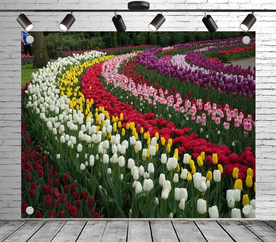 5x3ft Floral Backdrop Colorful Tulip Field Photo Backdrop Garden ...