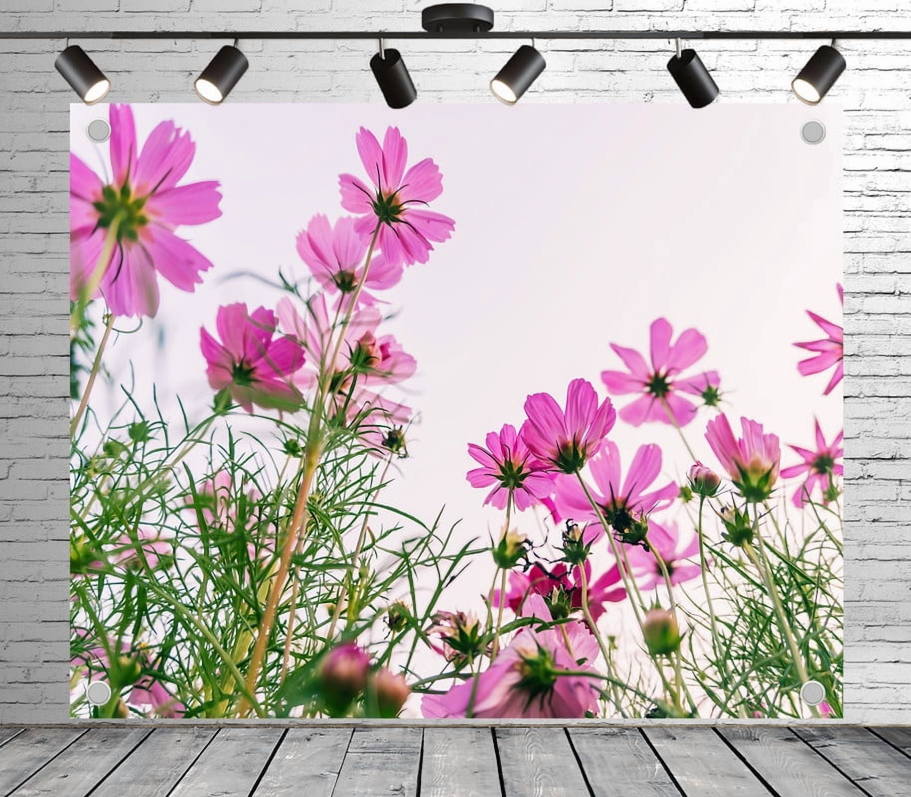 5x3ft Floral Backdrop Pink Cosmos Flower Field Scenery Photo Backdrop ...